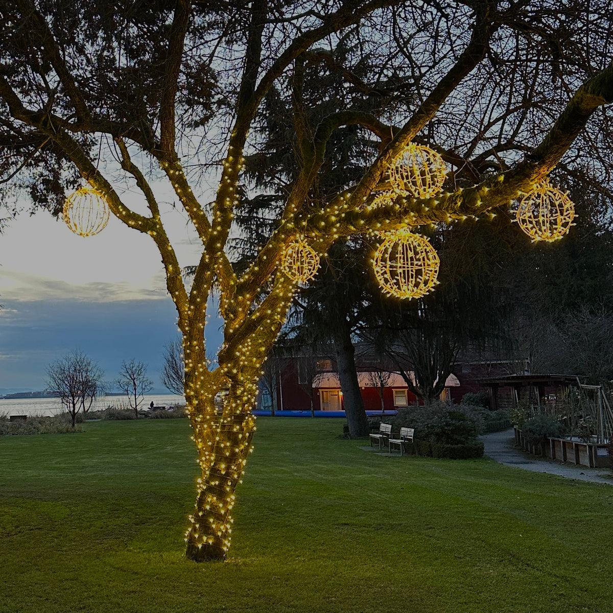 Foldable Sphere + Protostar – Dekra Lite Store