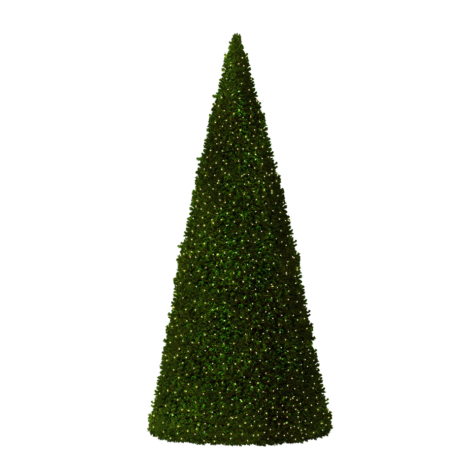 Sequoia Tree Collection – Dekra Lite Store
